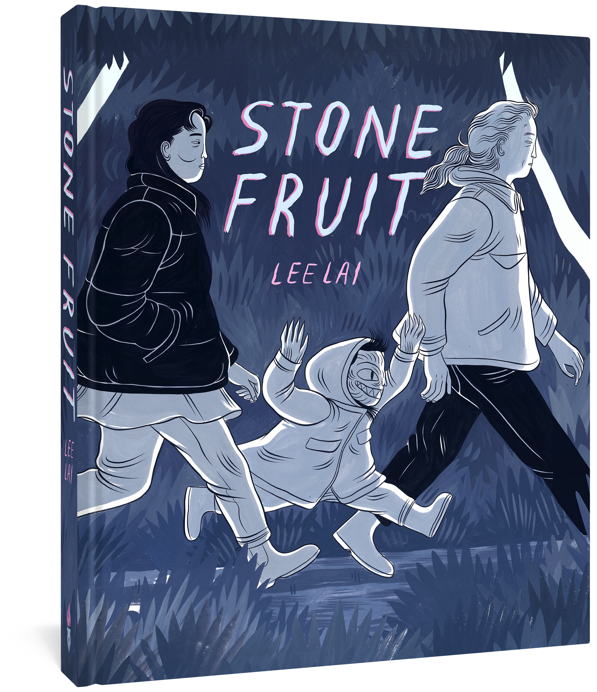 Winners of the 2021 VLA Graphic Novel Diversity Award Announced